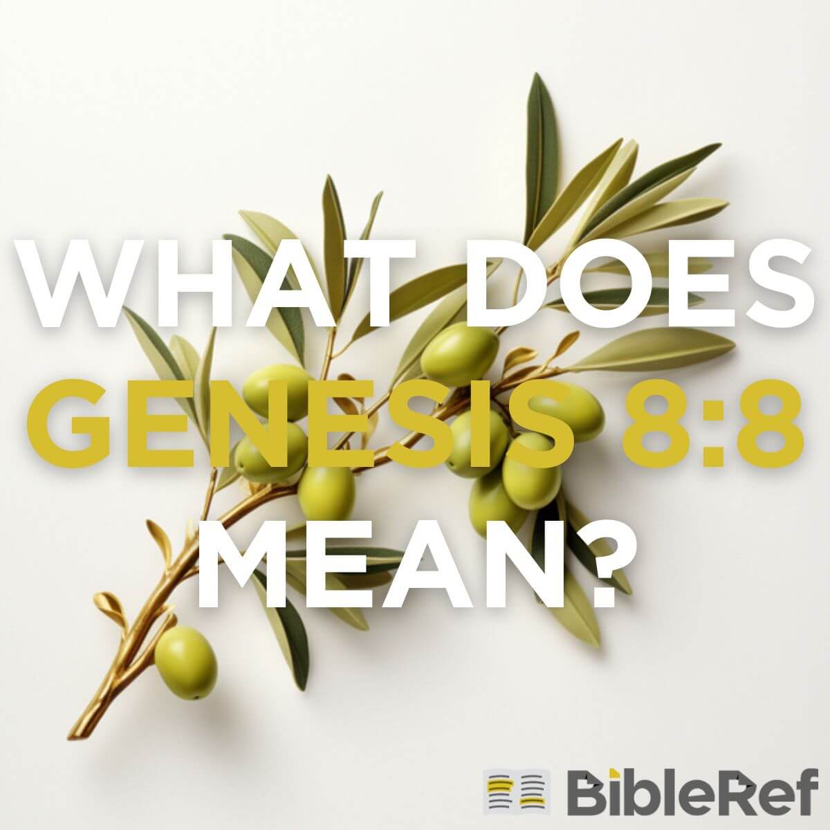 What does Genesis 8:8 mean? | BibleRef.com
