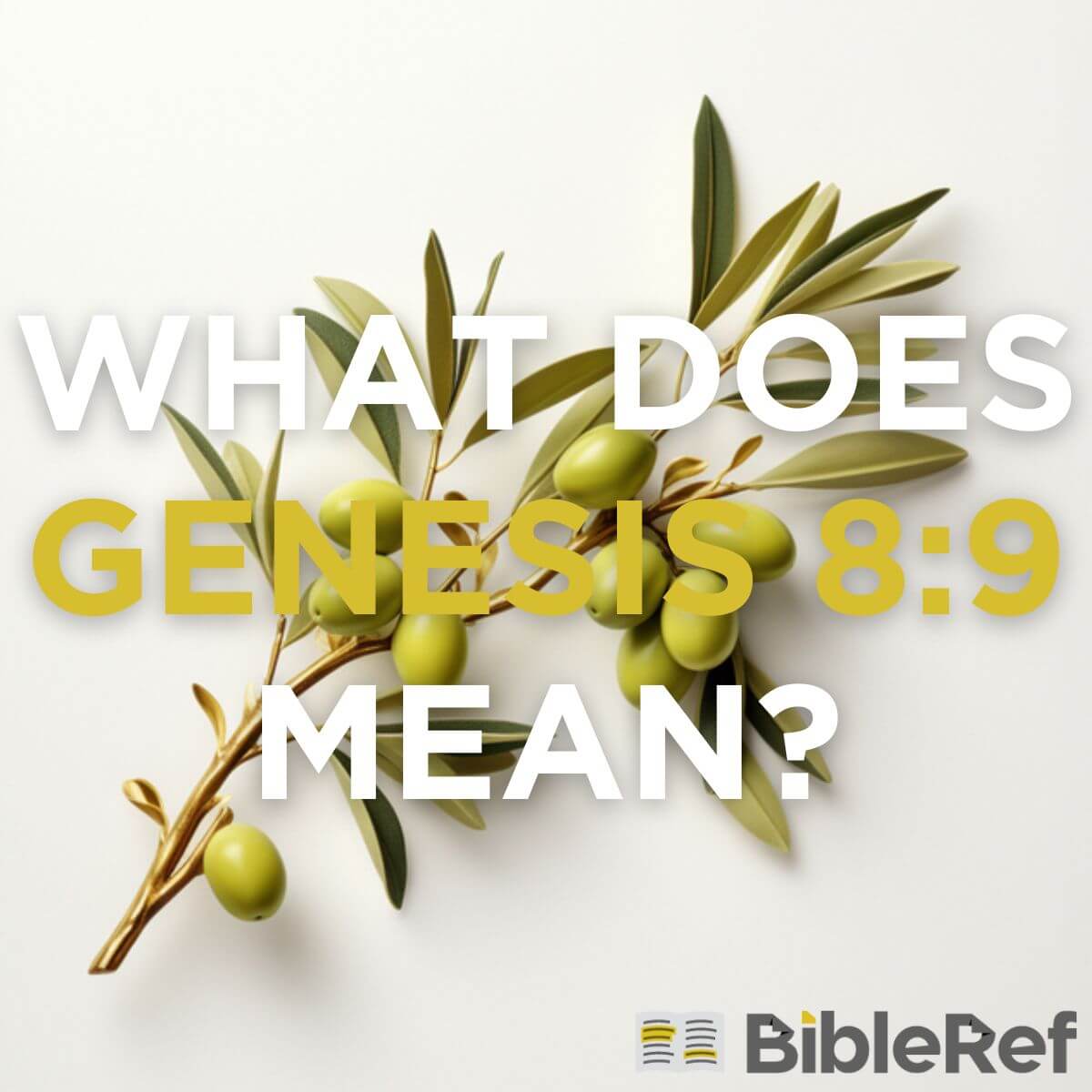 What does Genesis 8:9 mean? | BibleRef.com