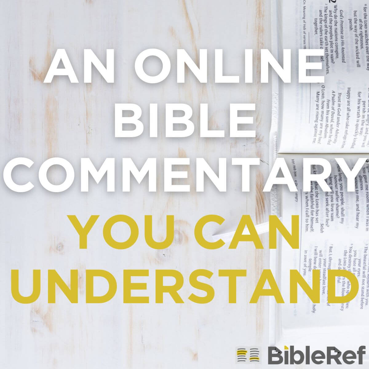 What does Numbers chapter 13 mean? | BibleRef.com